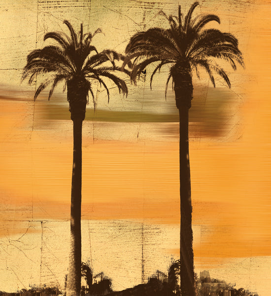 Shoreline Sunset | McGaw Graphics