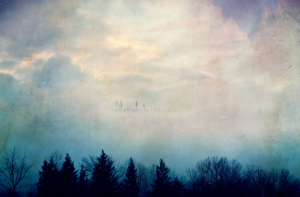 Peek-A-Boo Trees | McGaw Graphics