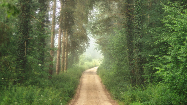 Rejuvenate | McGaw Graphics