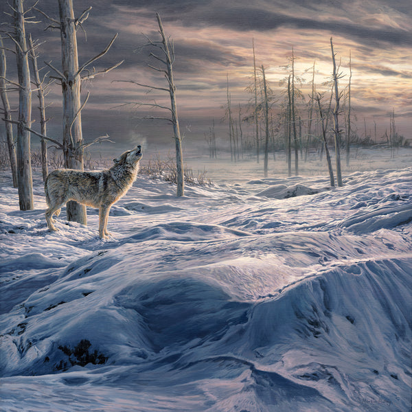 Howling Wolf (Gray Wolf) | McGaw Graphics
