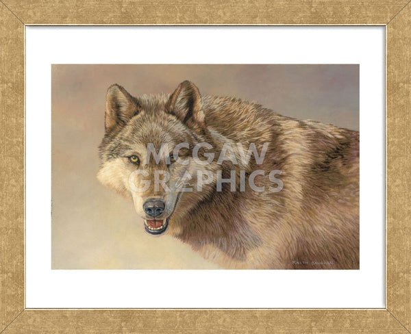 Wolf Portrait (Framed) | McGaw Graphics