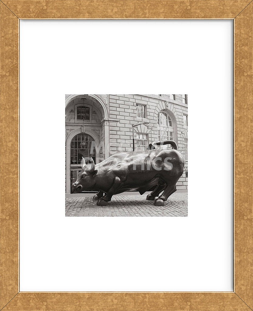 Positive Outlook (Framed) | McGaw Graphics