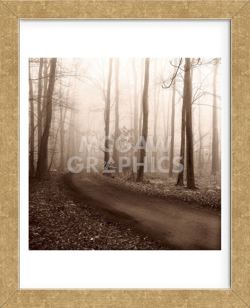 Recollection (Framed) | McGaw Graphics