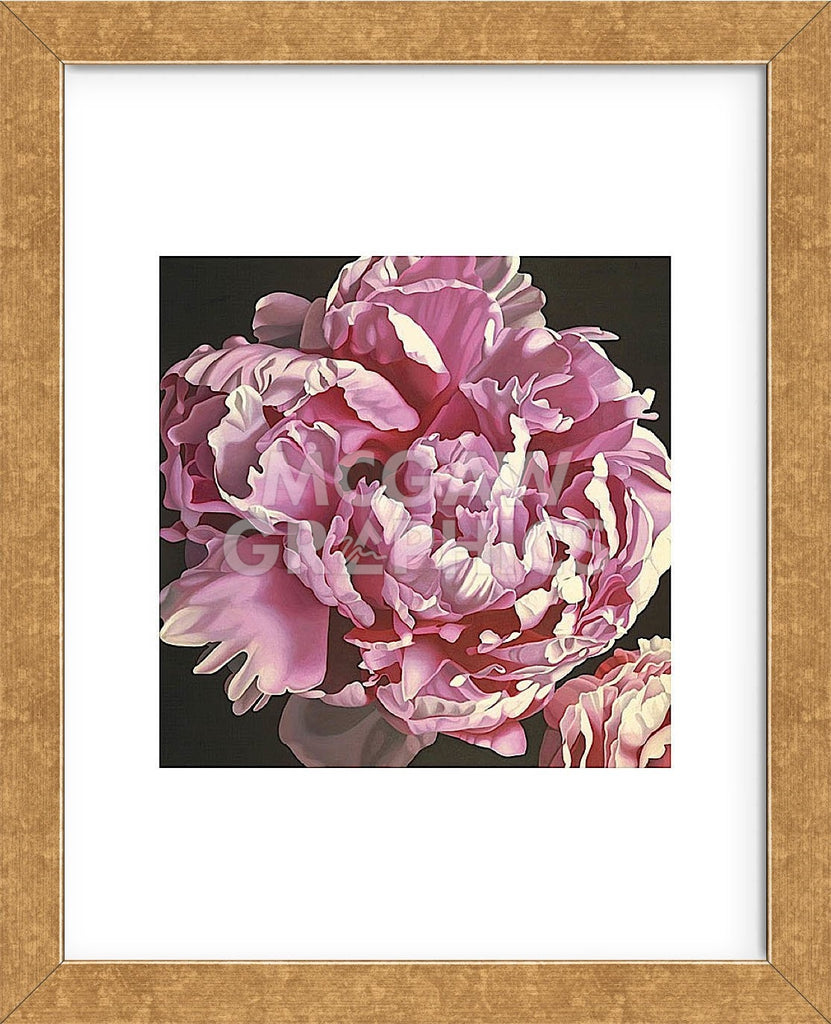 Peony I (Framed) | McGaw Graphics