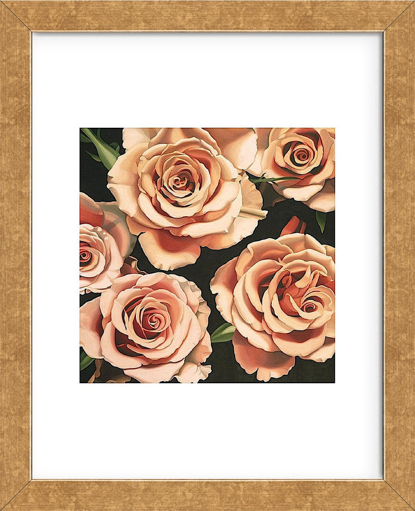 Roses (Framed) | McGaw Graphics