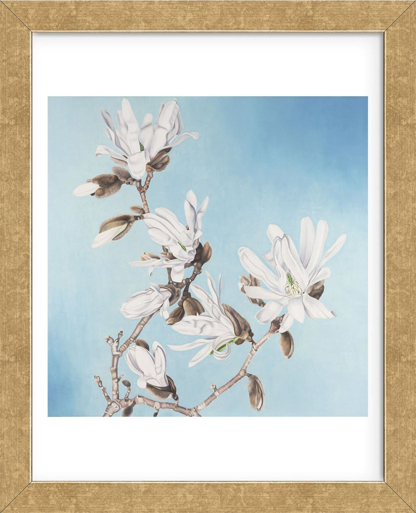 Magnolia (Framed) | McGaw Graphics