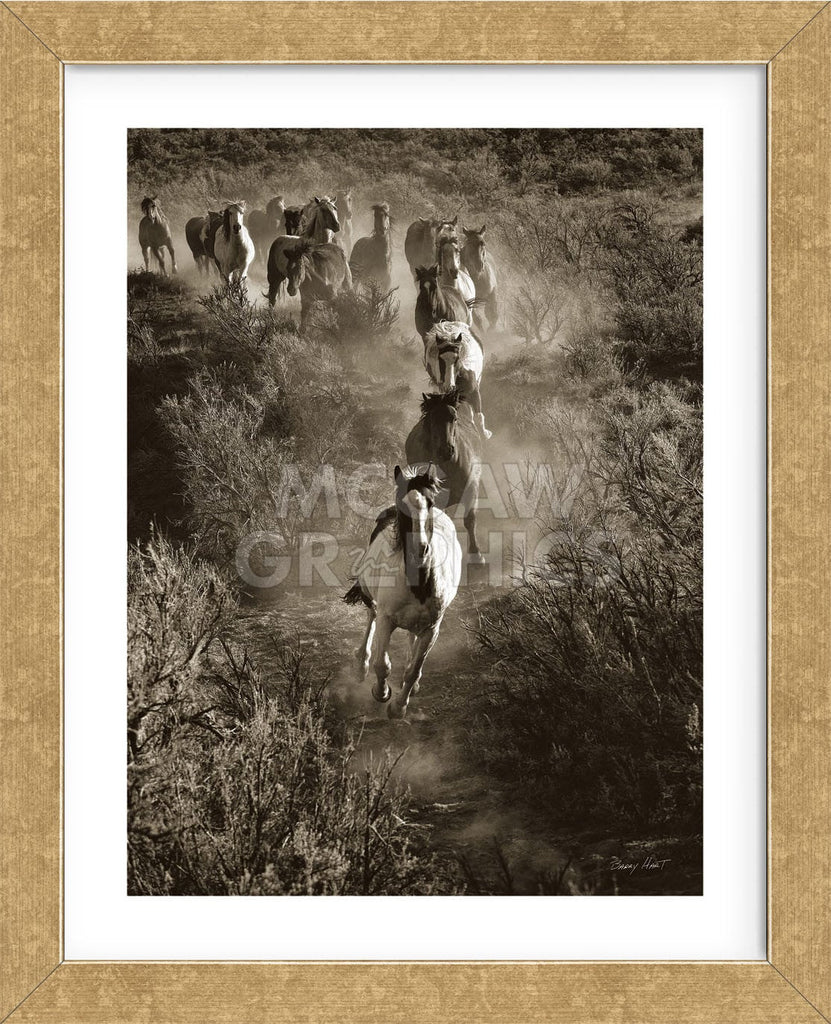 Poetry in Motion (Framed) | McGaw Graphics