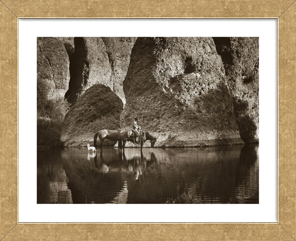 Oasis (Framed) | McGaw Graphics