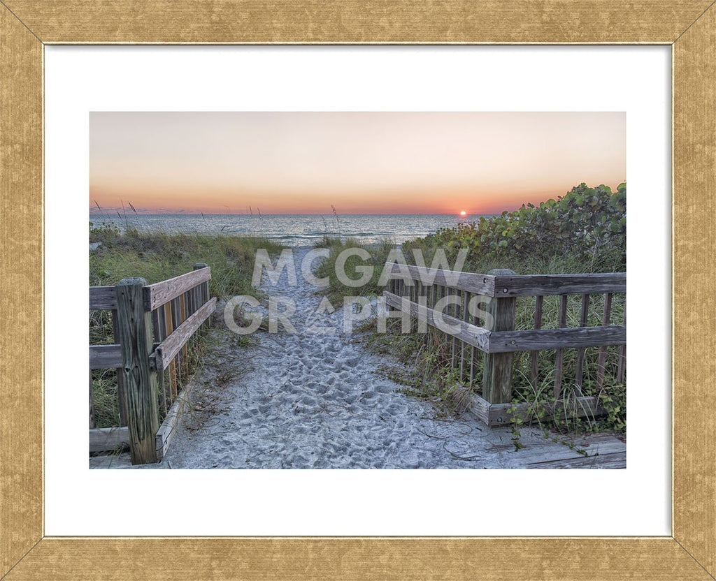Evening Walk (Framed) | McGaw Graphics