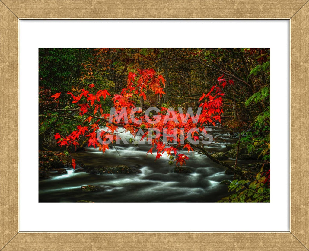 Fall in Smokies (Framed) | McGaw Graphics