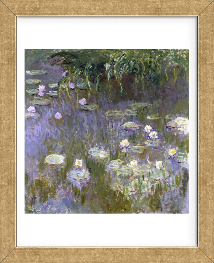 Water Lilies, 1922 (Framed) | McGaw Graphics