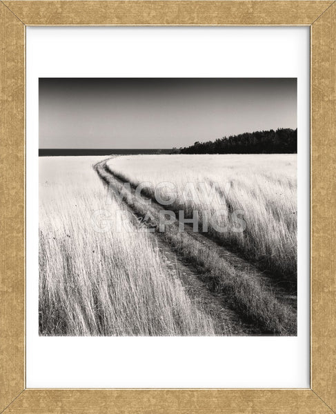 Oceanside Field (Framed) | McGaw Graphics