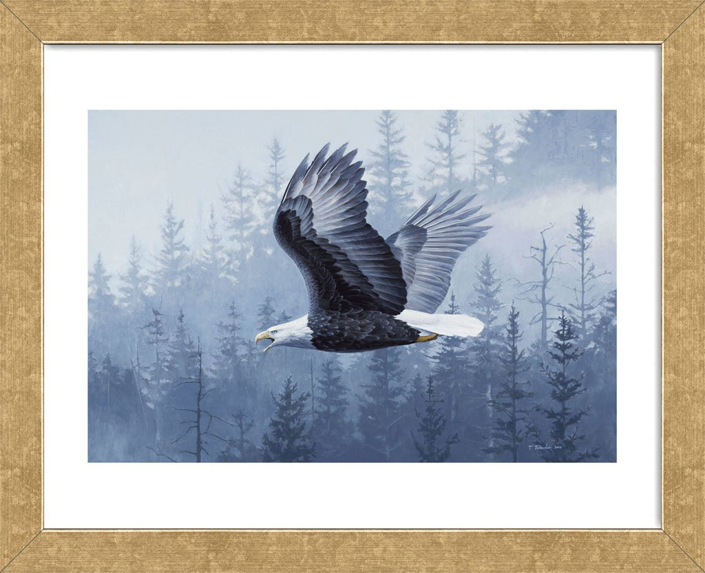 Spirit of the Forest (Framed) | McGaw Graphics