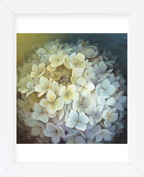 Hydrangea Portrait (Framed) | McGaw Graphics