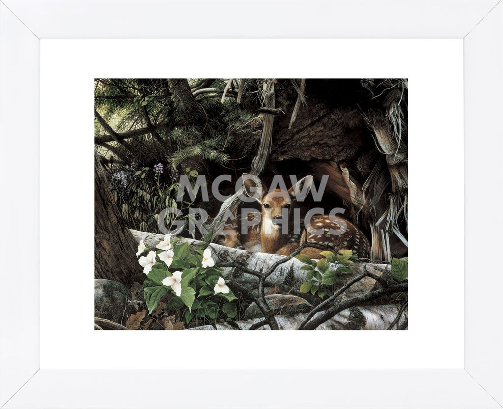 Undercover II (Framed) | McGaw Graphics