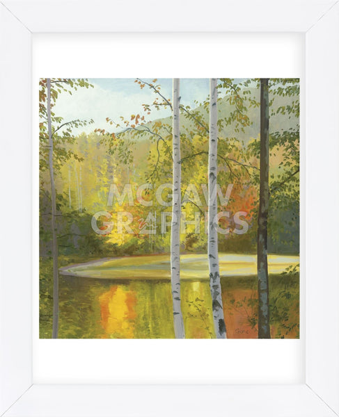 Cooper Lake, Autumn (Framed) | McGaw Graphics