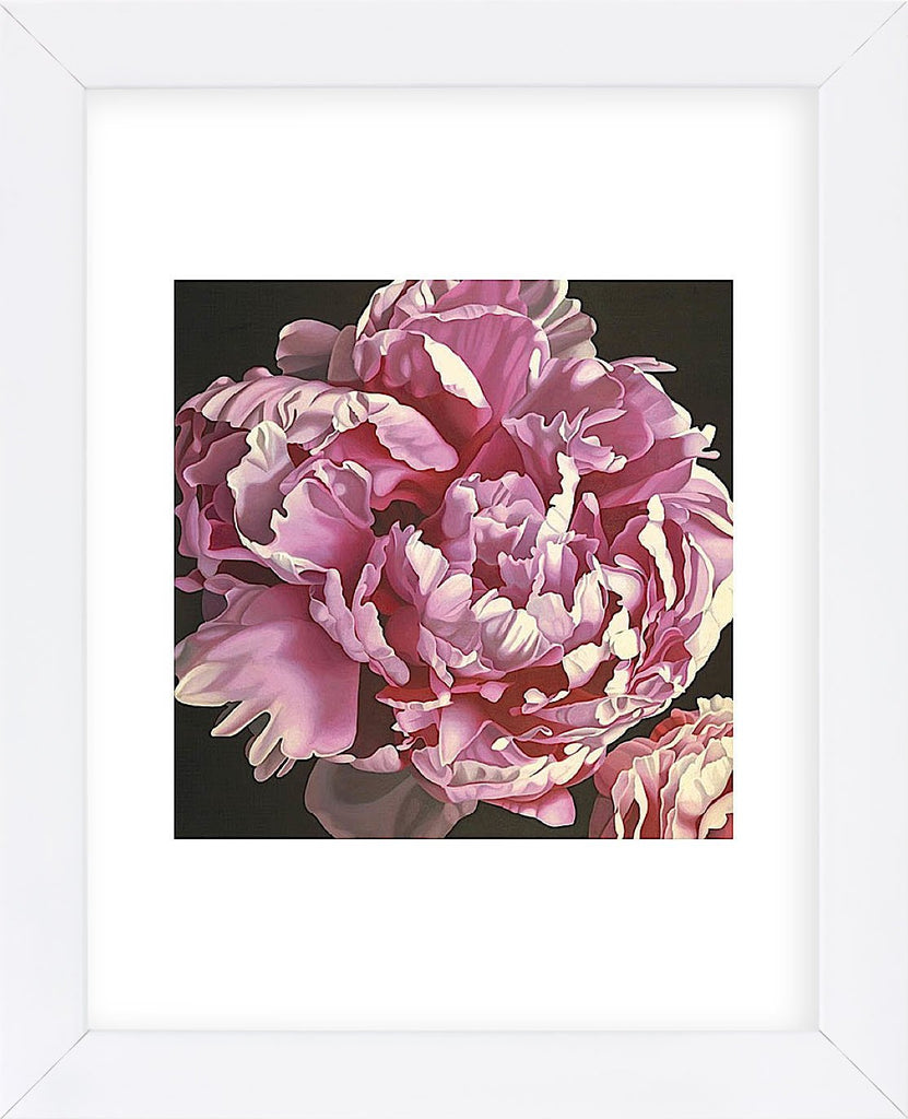 Peony I (Framed) | McGaw Graphics