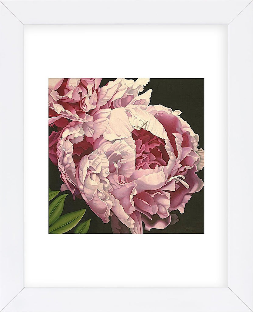 Peony II (Framed) | McGaw Graphics