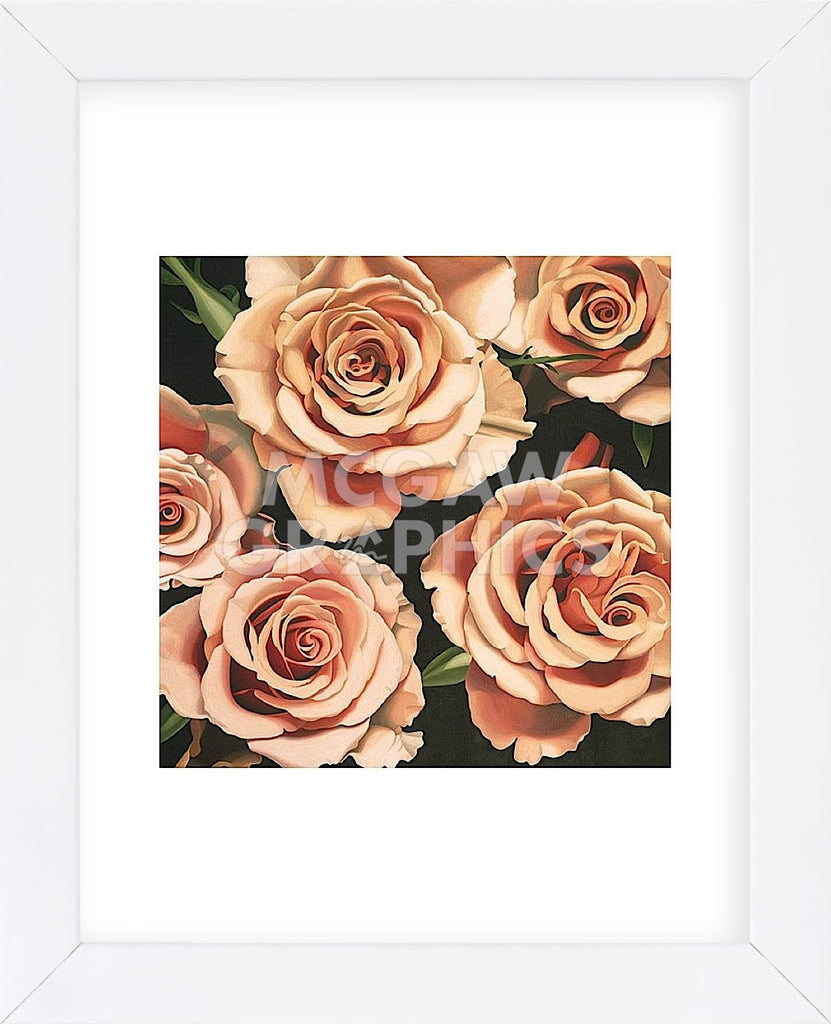Roses (Framed) | McGaw Graphics