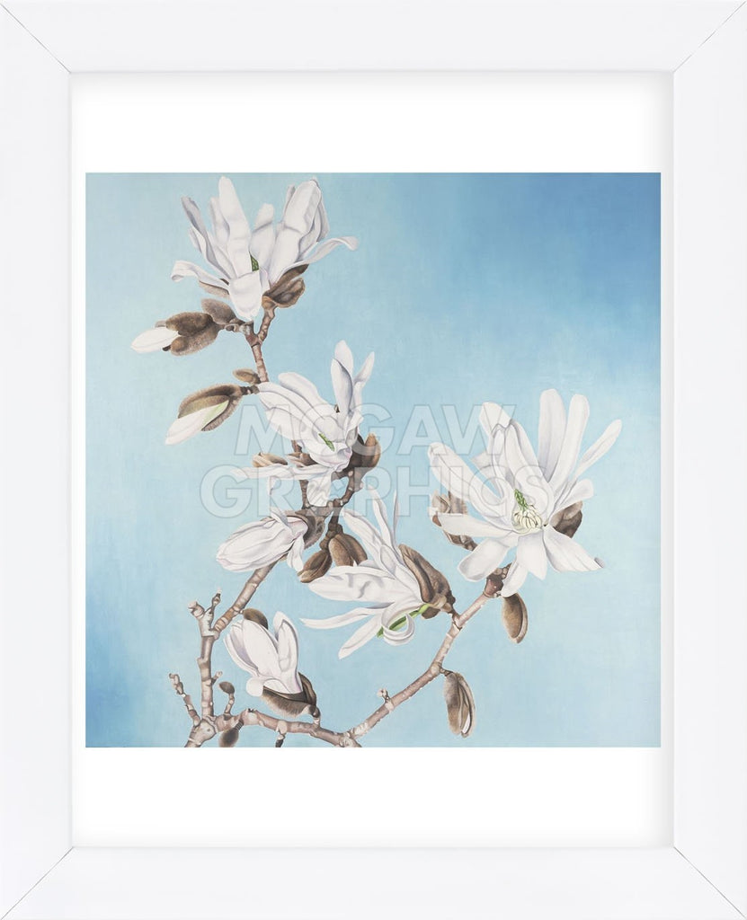 Magnolia (Framed) | McGaw Graphics