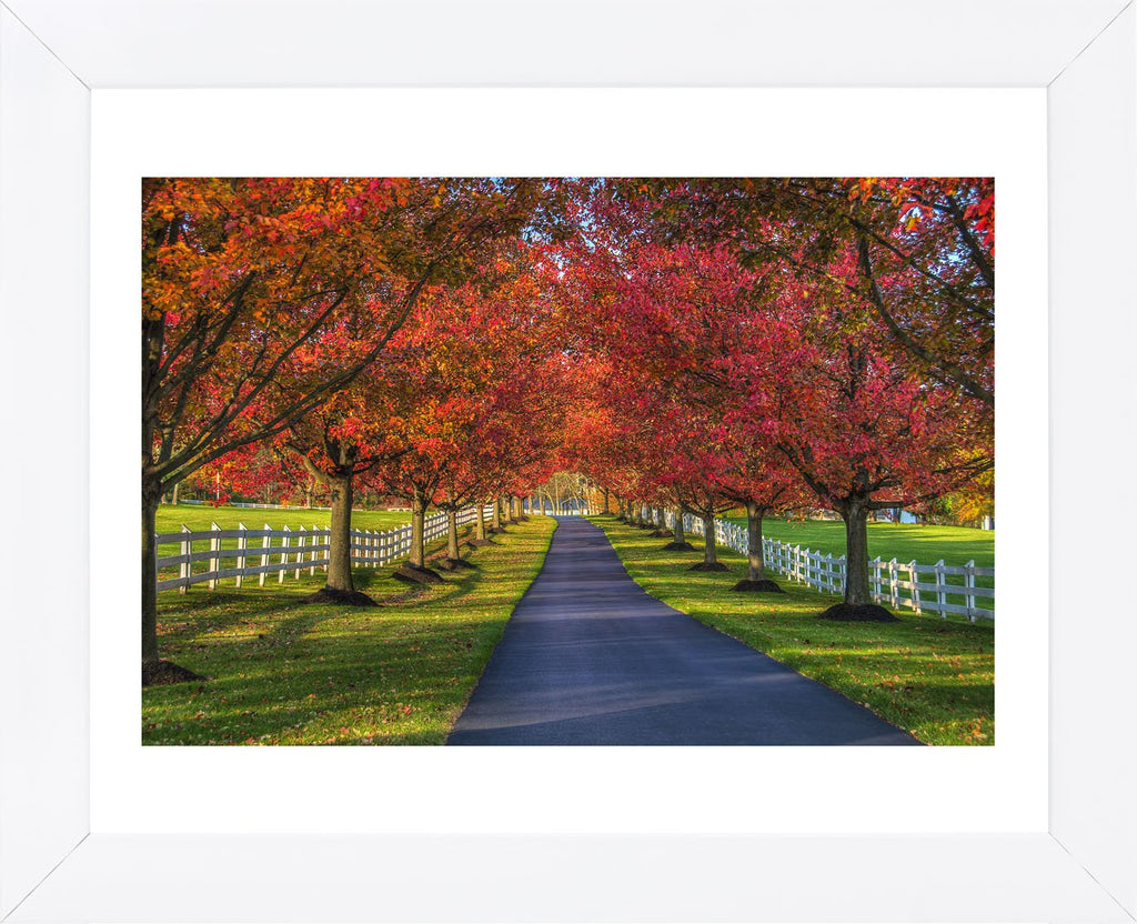 Lane in Fall (Framed) | McGaw Graphics