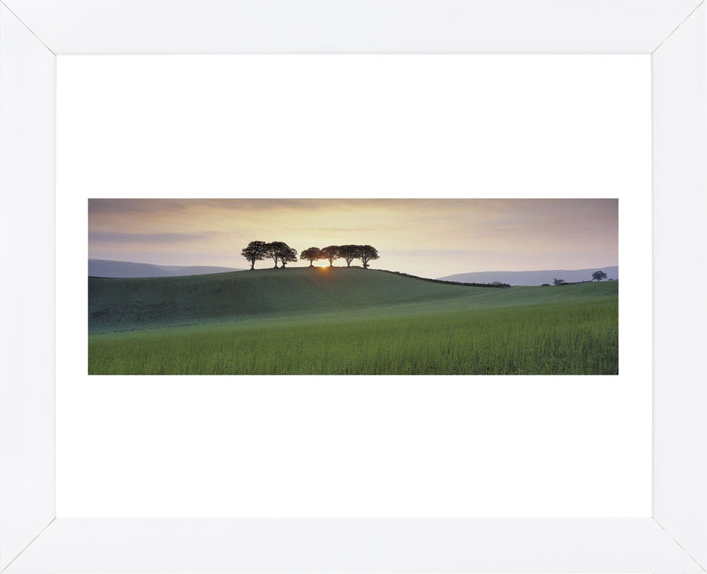 Somerset Sunrise (Framed) | McGaw Graphics