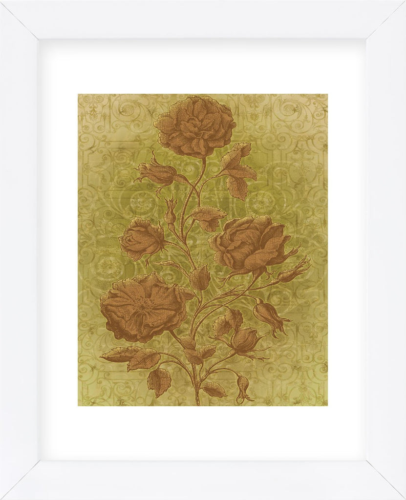 Amalia Roses (Framed) | McGaw Graphics