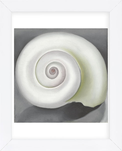 Shell No. I, 1928 (Framed) | McGaw Graphics