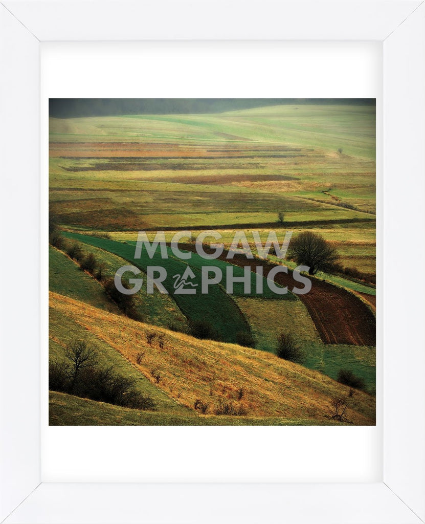 Transylvania (Framed) | McGaw Graphics