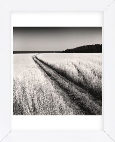 Oceanside Field (Framed) | McGaw Graphics