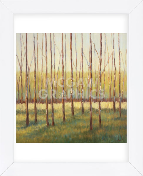 Grove of Trees (Framed) | McGaw Graphics