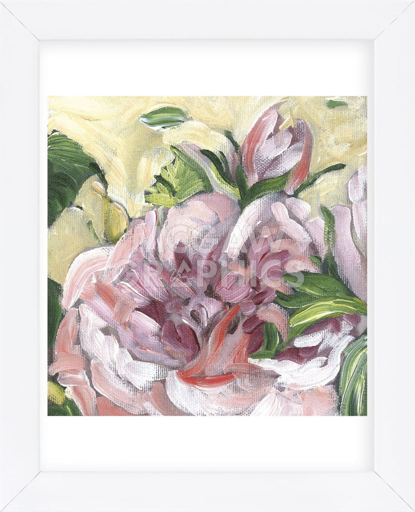 Rosey 1 (Framed) | McGaw Graphics