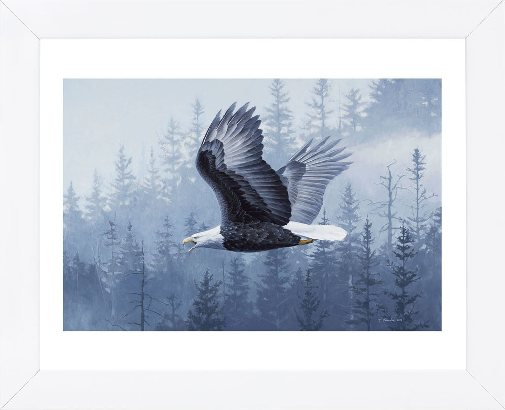 Spirit of the Forest (Framed) | McGaw Graphics