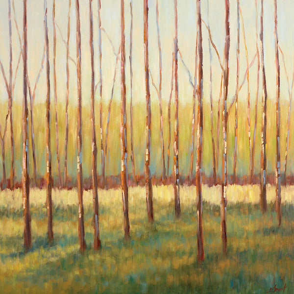 Grove of Trees | McGaw Graphics