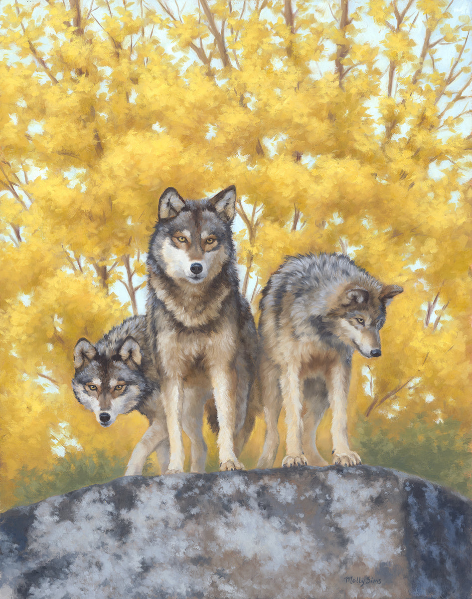 Pack Of Wolves Drawing