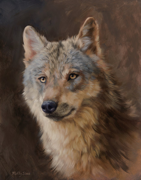 Masked Wolf | McGaw Graphics