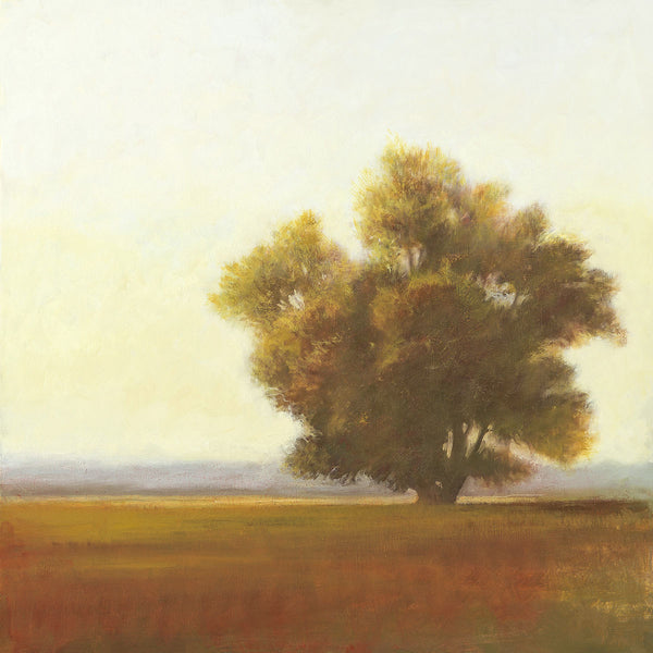 Lone Tree | McGaw Graphics