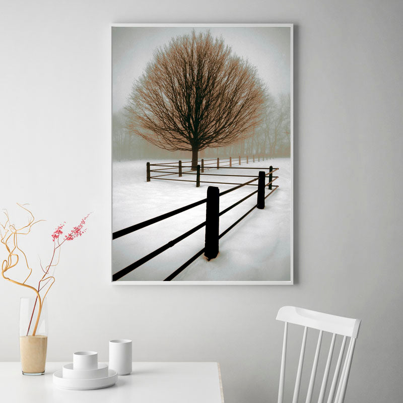 Solitude | McGaw Graphics